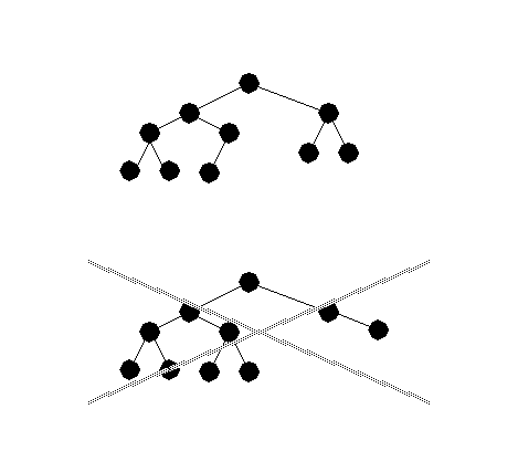Binary Trees